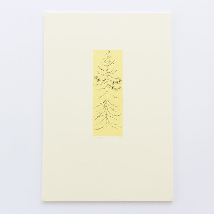 Tamarack Limited Edition Prints - Drawing by Dana Williamowsky | Minted