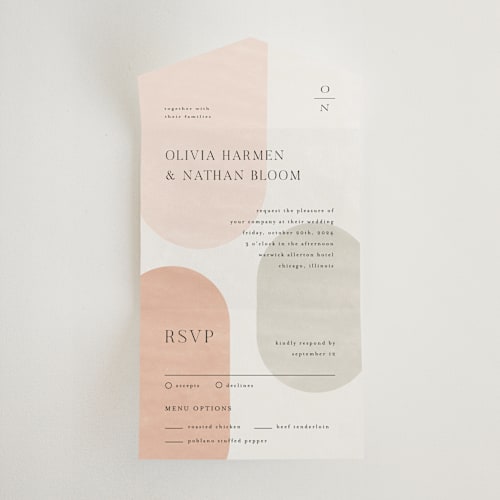All-In-One Wedding Invitations with RSVP Cards | Seal-and-Send Invites ...