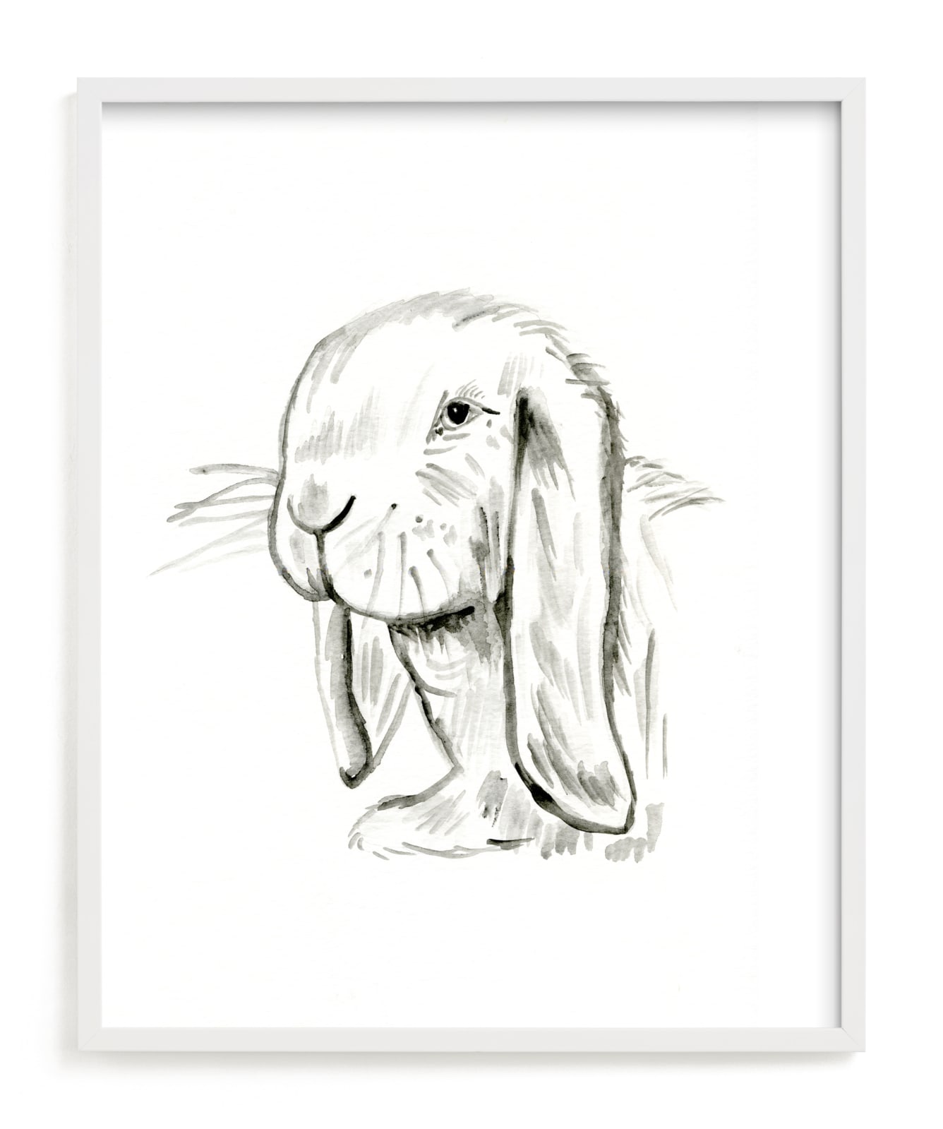 floppy eared rabbits coloring pages