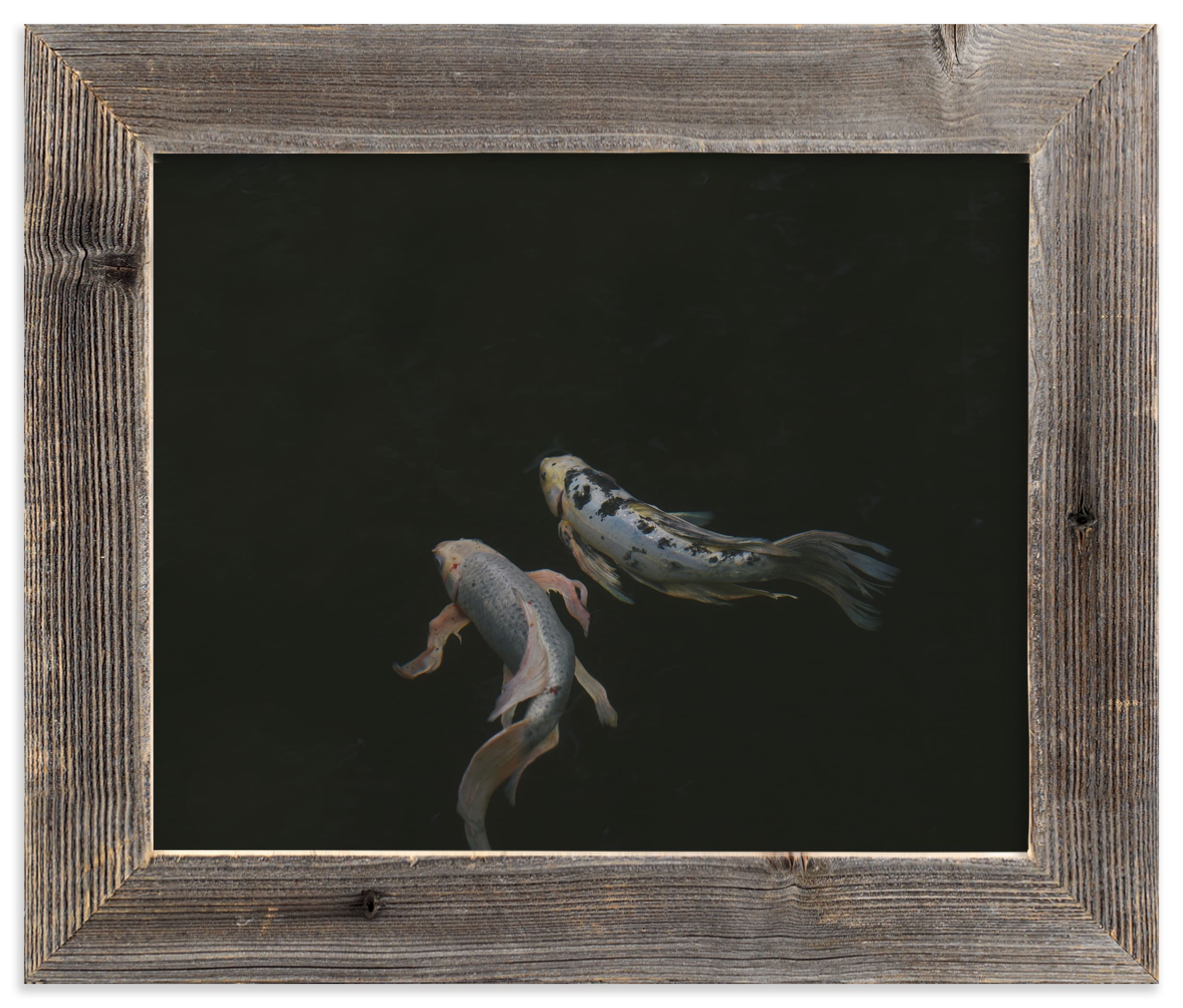 Franz + Ferdinand Wall Art Prints by Amy Carroll | Minted