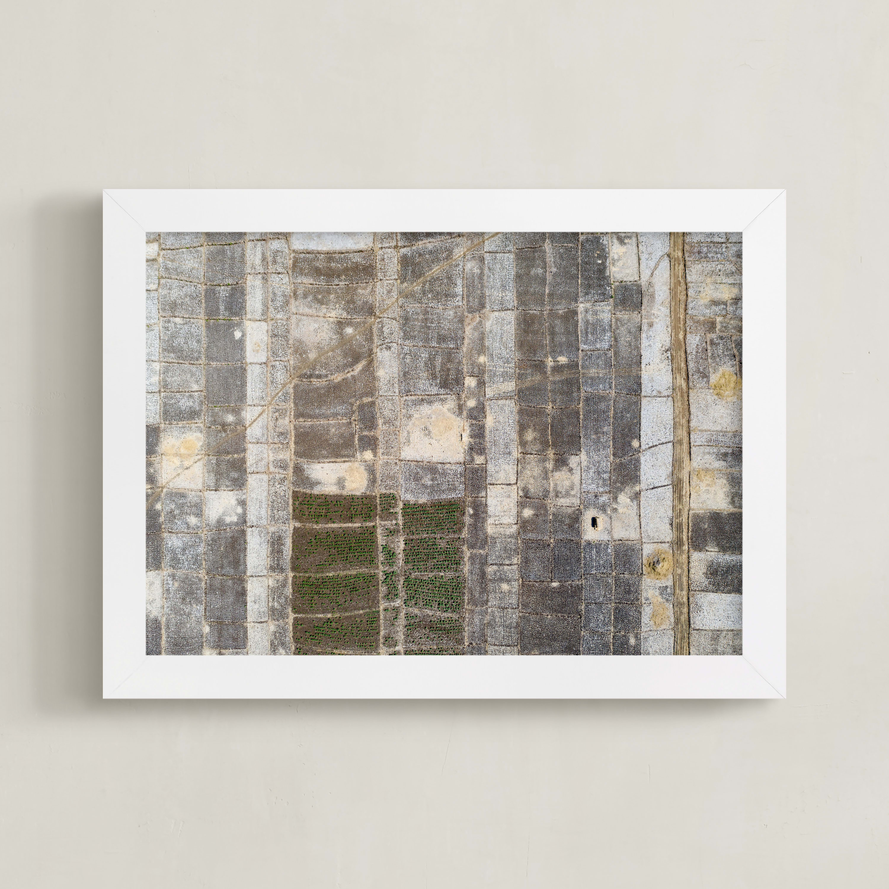 Art & Collectibles Digital Prints Transition Print Prints etna.com.pe